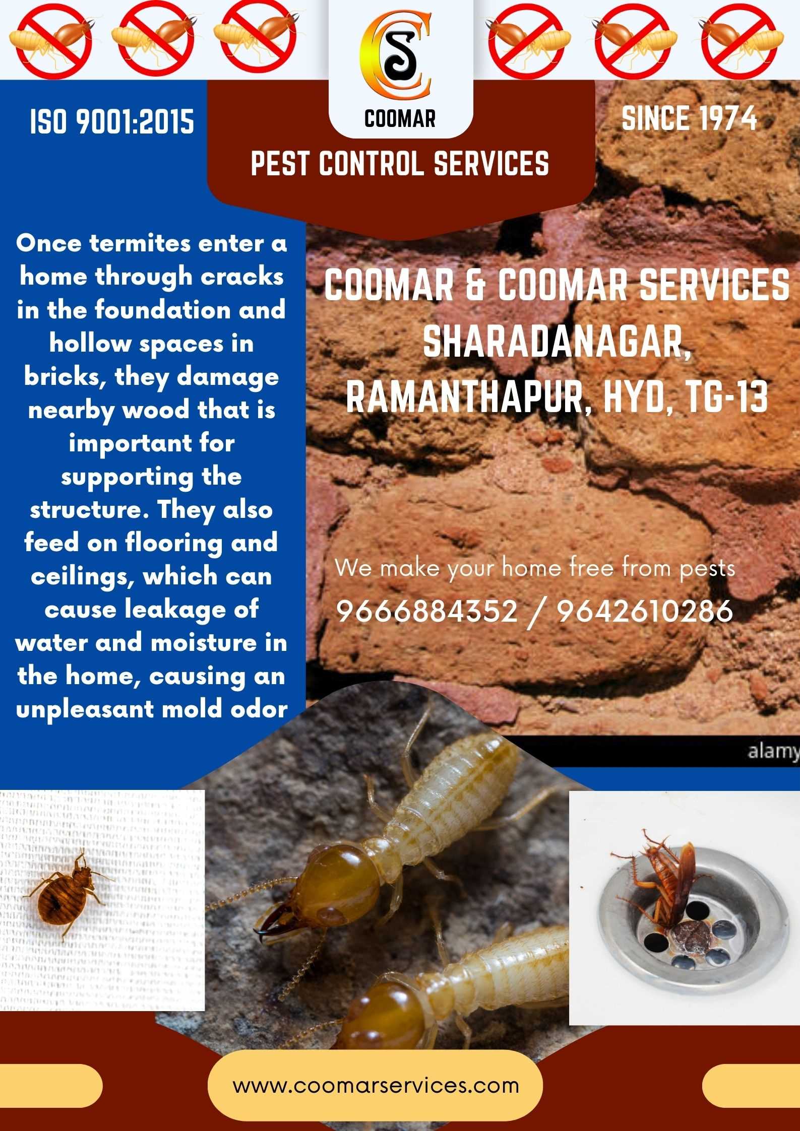 Coomar and Coomar Services in Sarada Nagar - Best pest control service ...