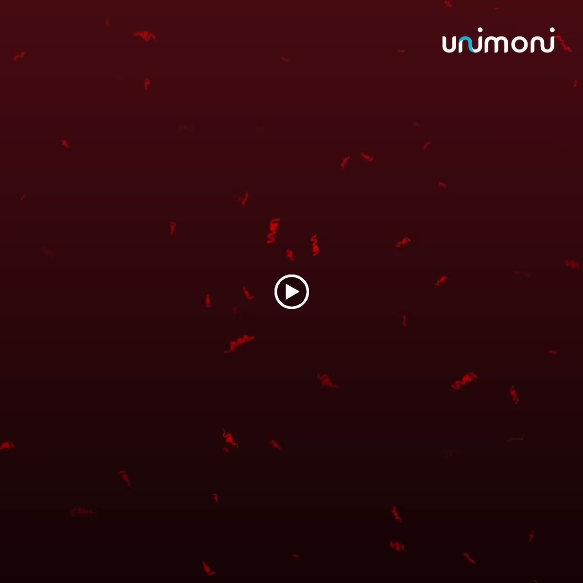 Foreign Currency Exchange & Money Transfer Services in Chembur, Mumbai | Unimoni Financial ...